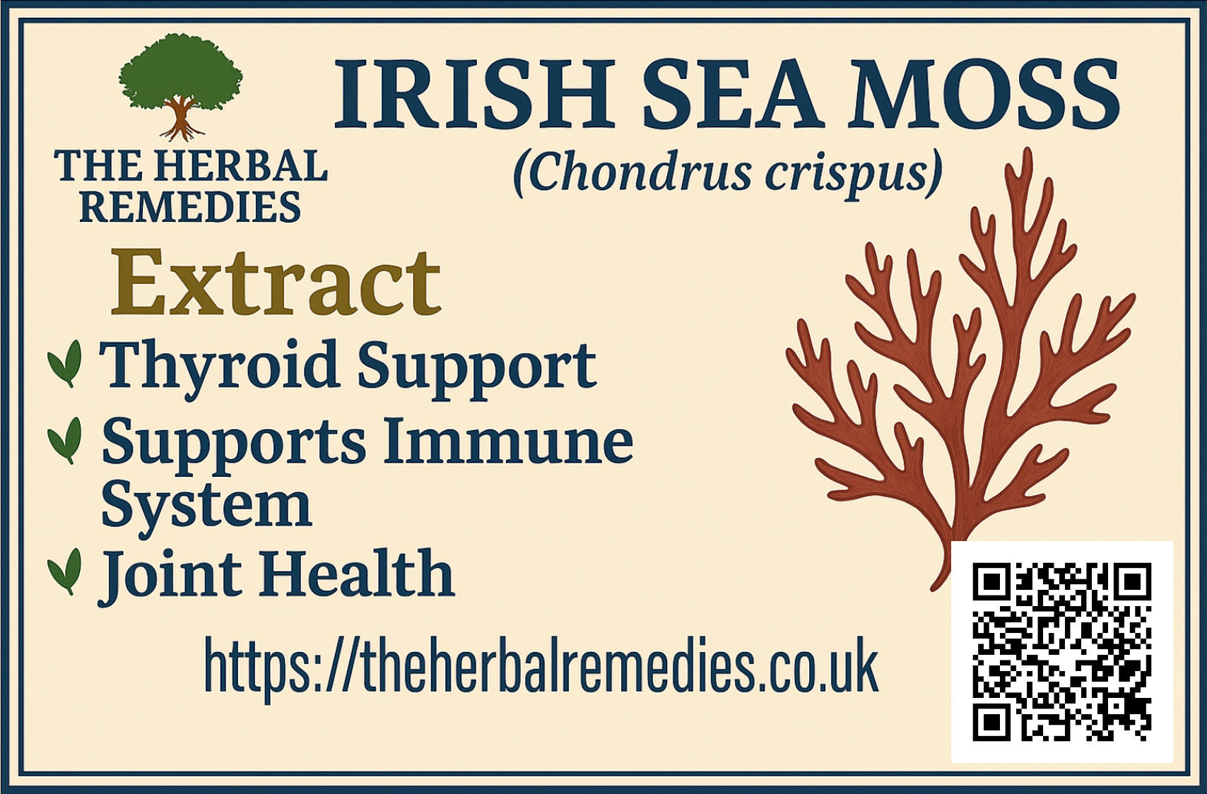 Irish Sea Moss 50g Extract, pure powder – The Herbal Remedies