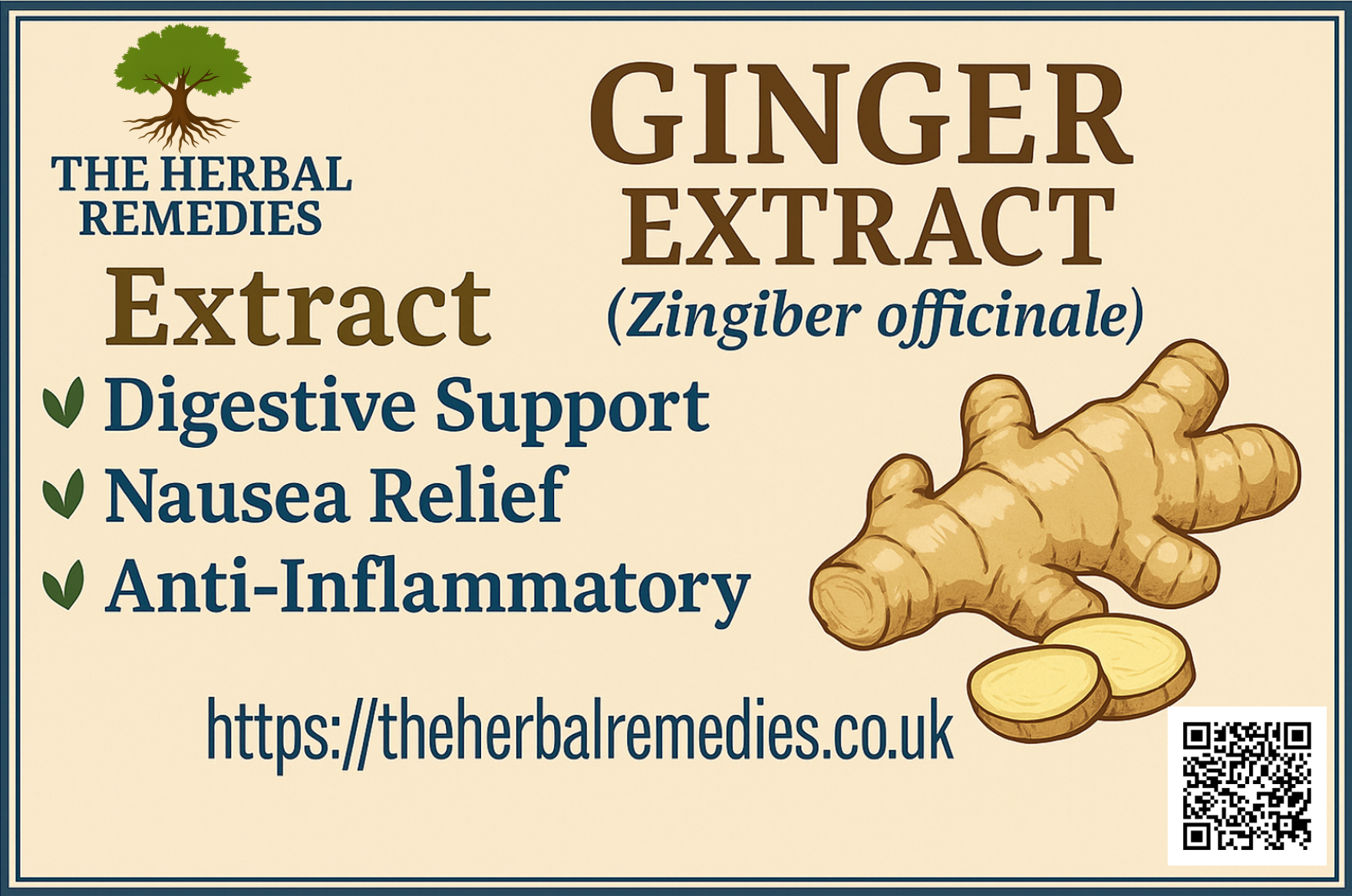 Ginger Extract (Zingiber officinale) - 100g – natural care 53